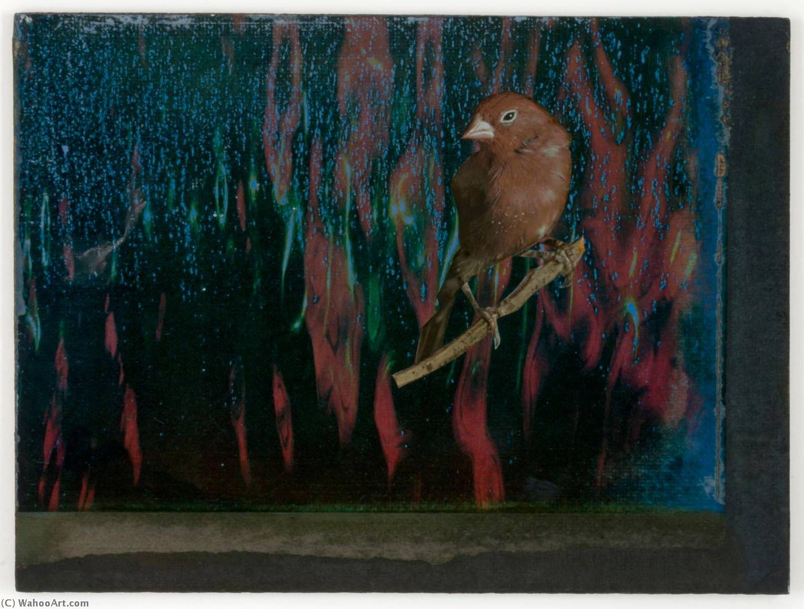 Buy Museum Art Reproductions Untitled (red and blue water reflections ...