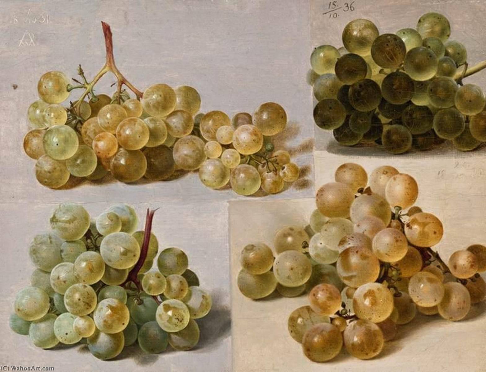 Get Art Reproductions Still Life of Grapes, 1824 by Johann Wilhelm ...