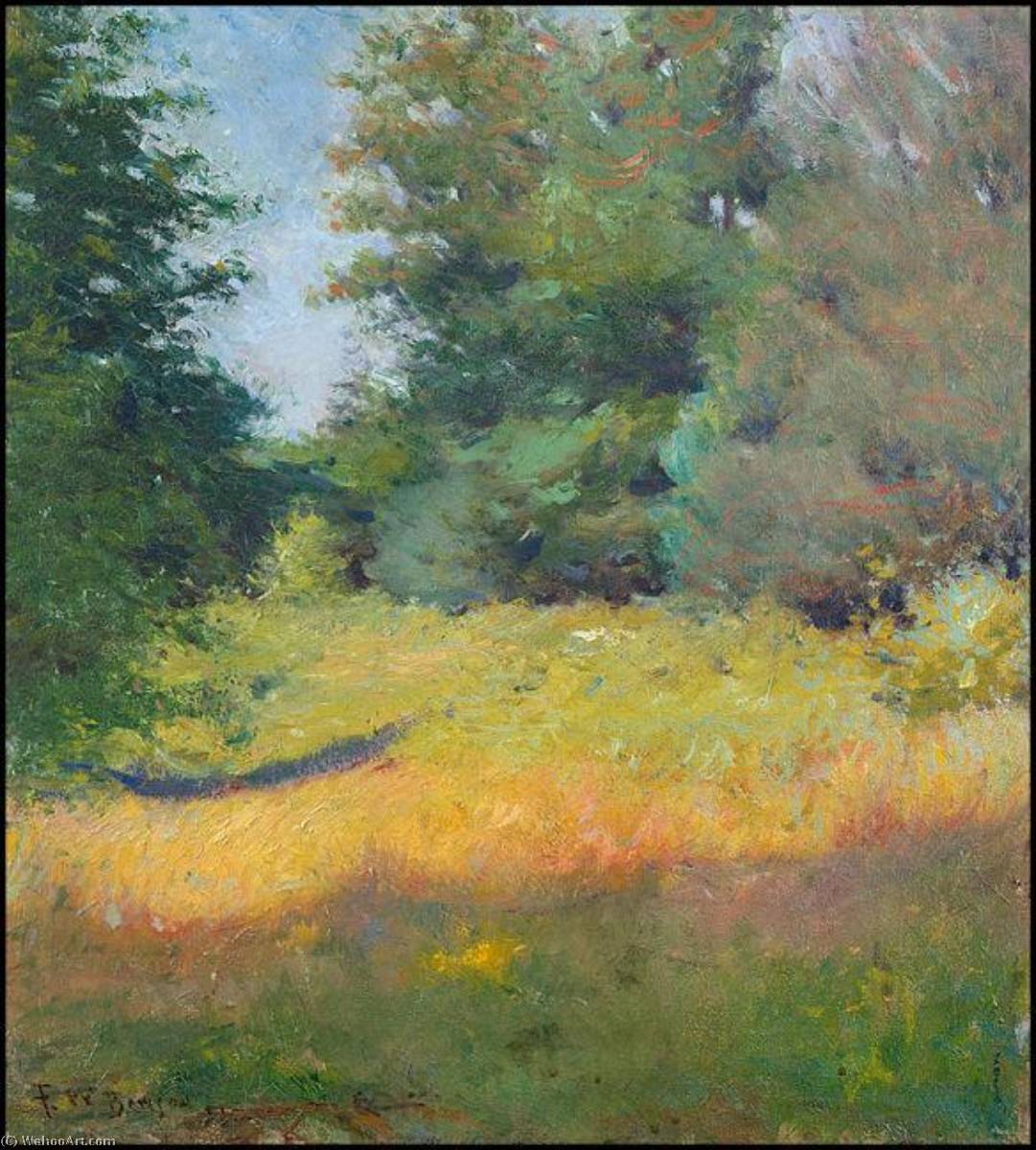 Commander Reproductions D'art Bois de Dublin, 1891 de Frank Weston ...