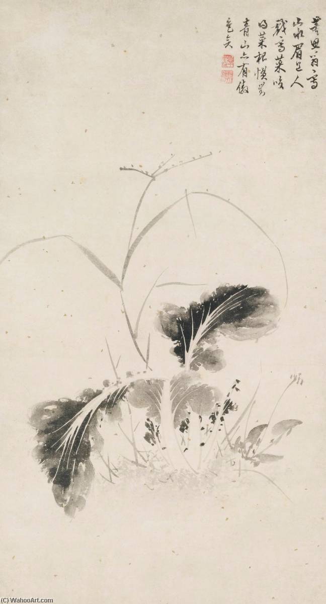 Order Artwork Replica CABBAGE by Chen Jiru (1558-1639) | ArtsDot.com