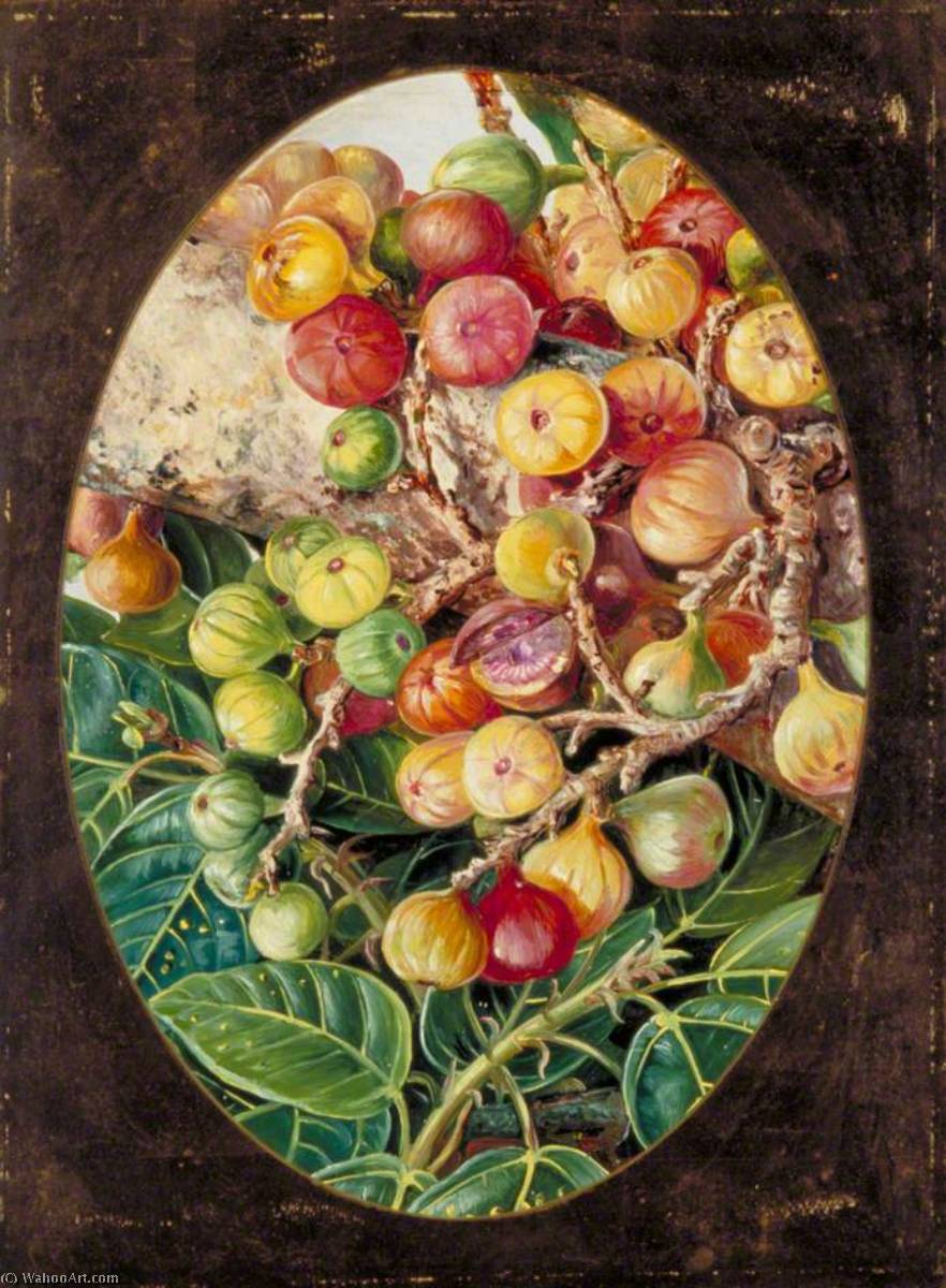 Get Art Reproductions Foliage and Fruit of Fig Tree held Sacred by the ...