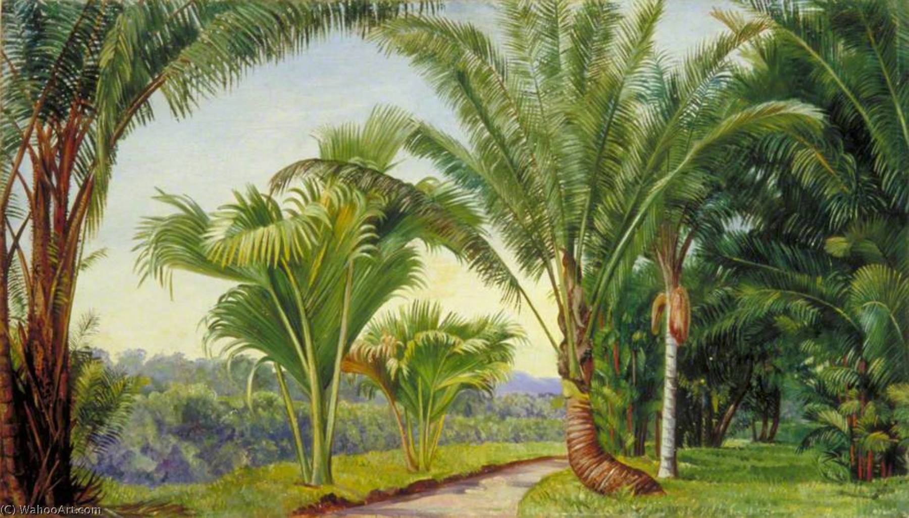 Buy Museum Art Reproductions Palms in the Botanic Garden, Buitenzorg ...