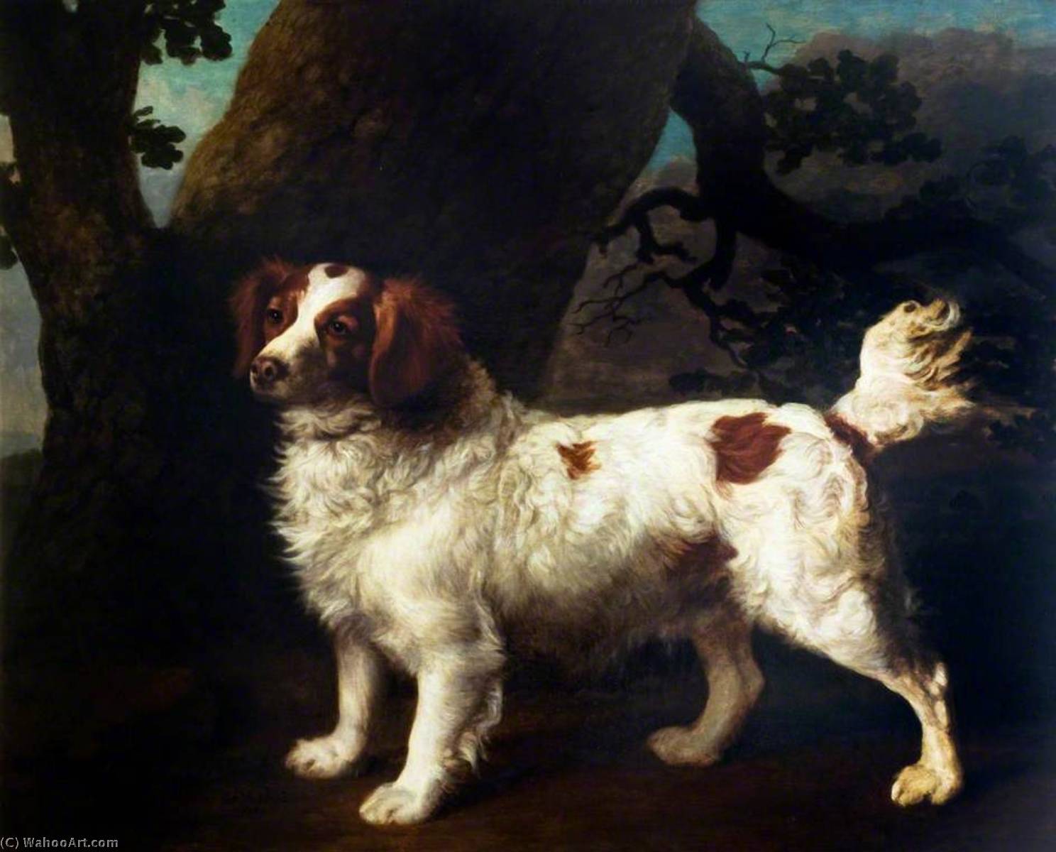 Oil Painting Replica A Clumber Spaniel by George Stubbs (1724-1806 ...
