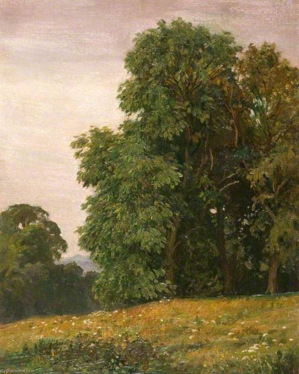 Obtenir Reproductions De Qualité Musée Les pelouses, Warham ...