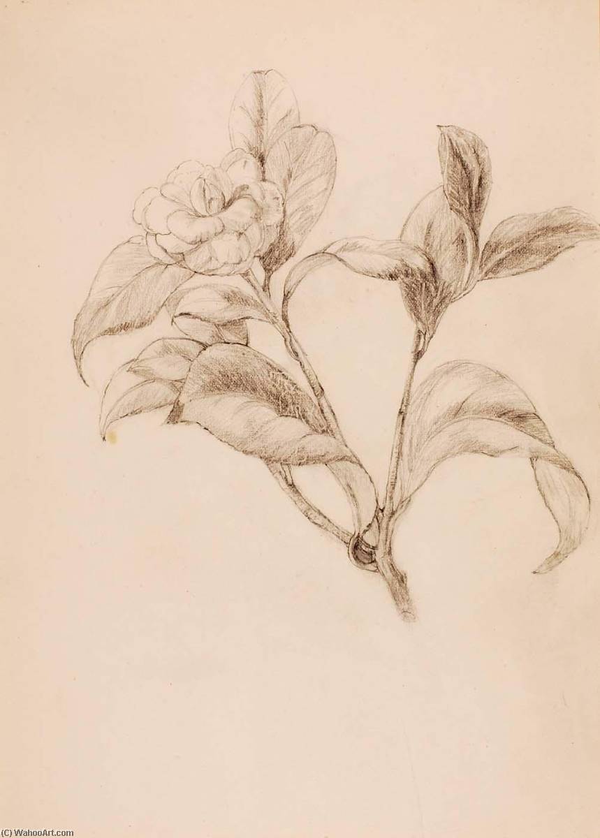 Artwork Replica Gardenia by Florence Koehler (1861-1944) | ArtsDot.com