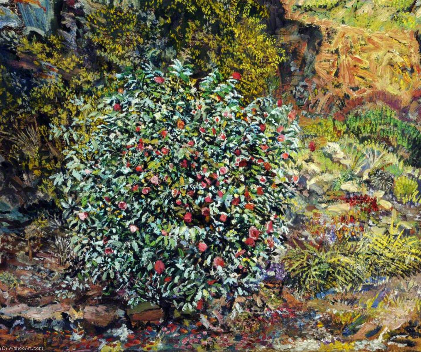 Obtenir Reproductions De Peintures Portrait d`un Camellia Bush, 1950 de ...