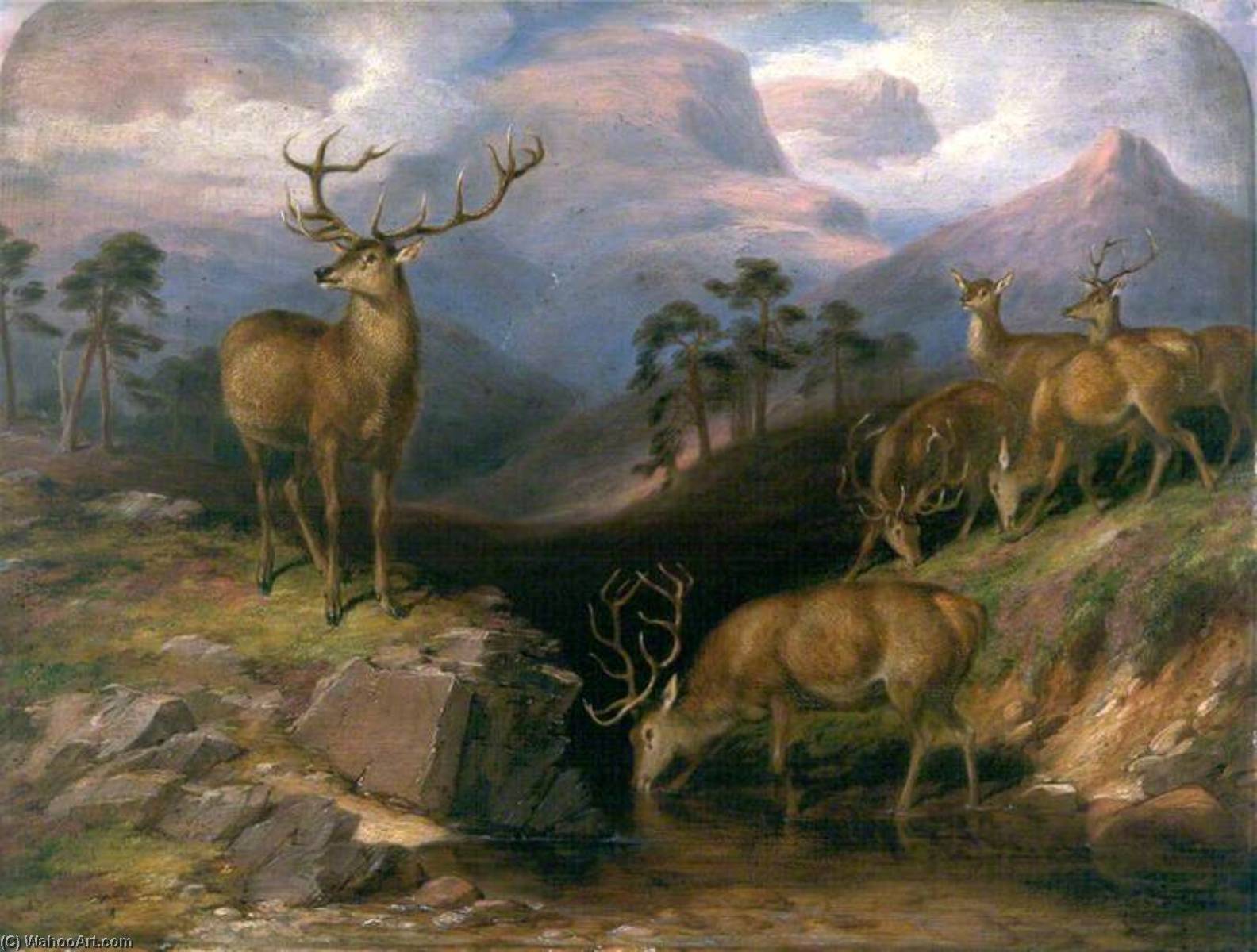 Reproductions De Qualité Musée Deer, 1854 de James Giles (1801-1870 ...