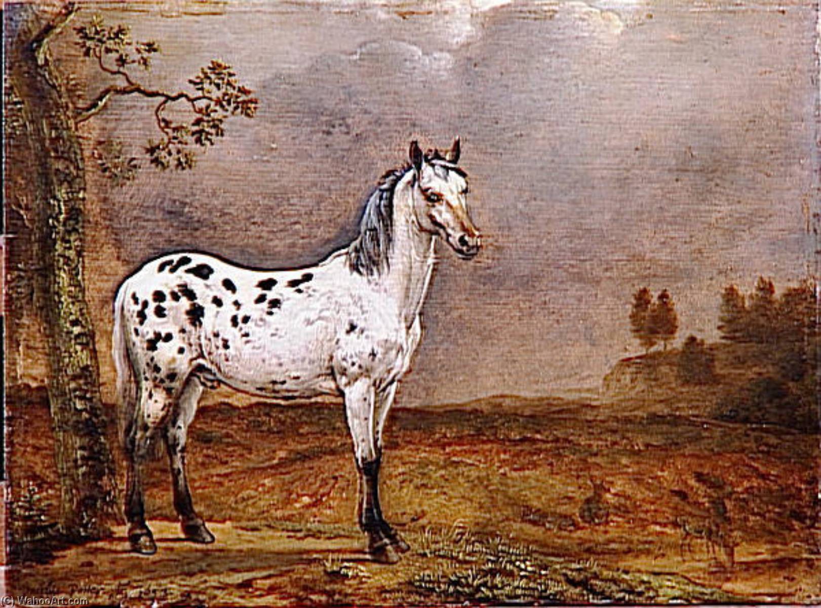 Get Art Reproductions LE CHEVAL PIE by Paulus Potter (1625-1654 ...