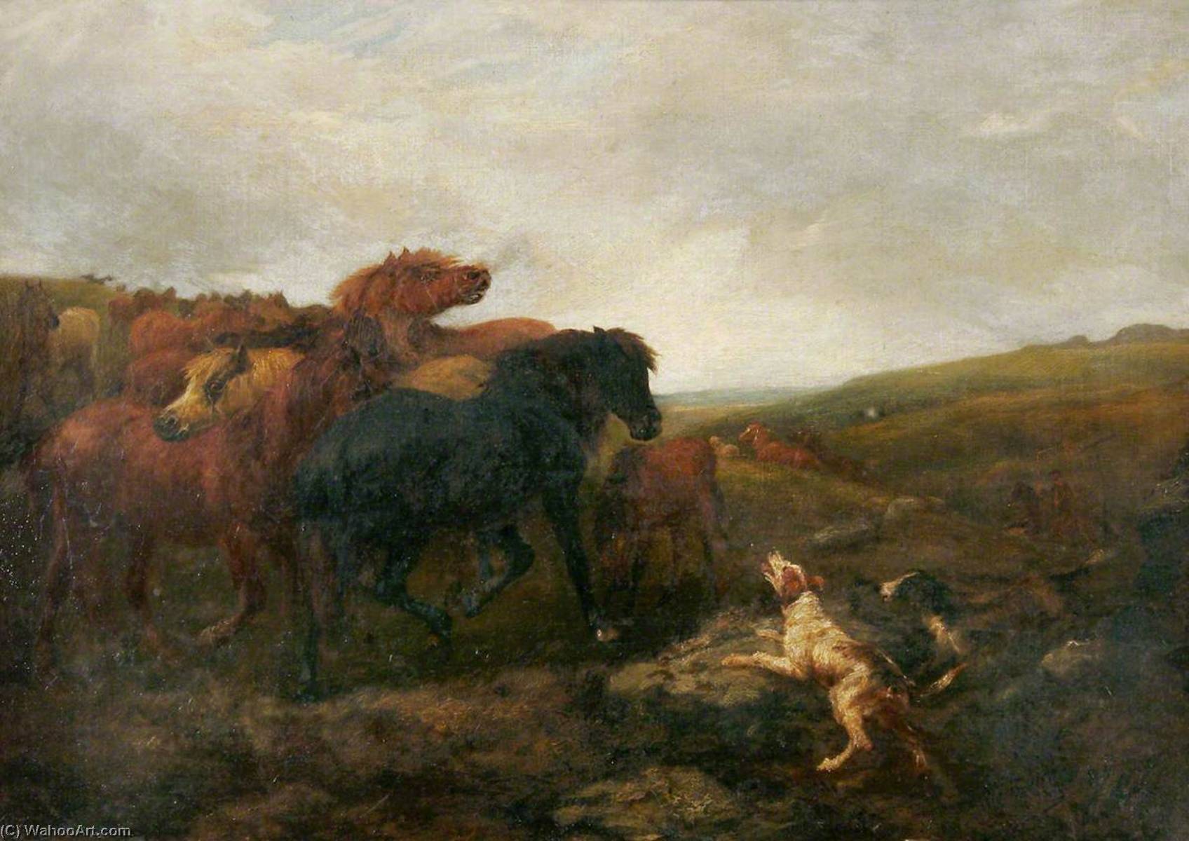 Dartmoor Ponies by Arthur James Stark Arthur James Stark | ArtsDot.com