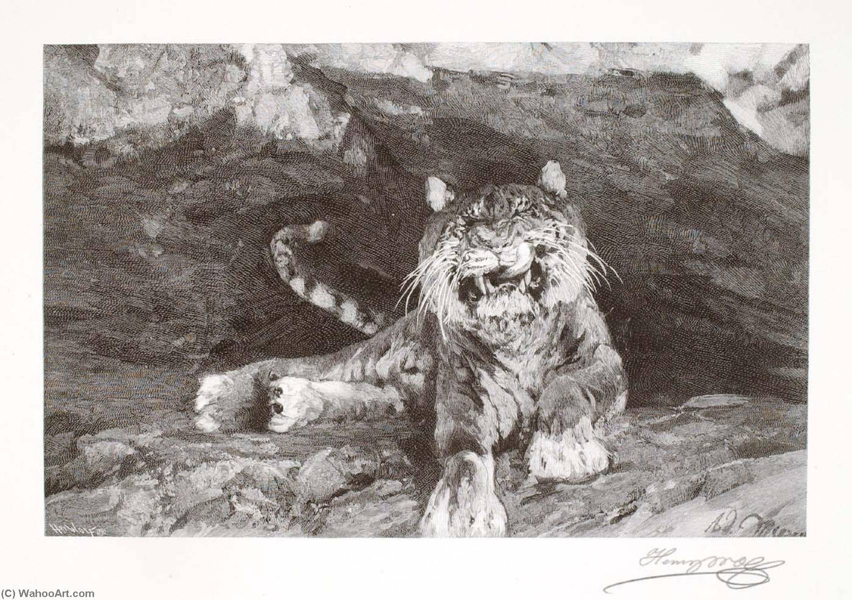 Tiger, 1890 by Henry Wolf (1925-2005, Austria) Henry Wolf | ArtsDot.com