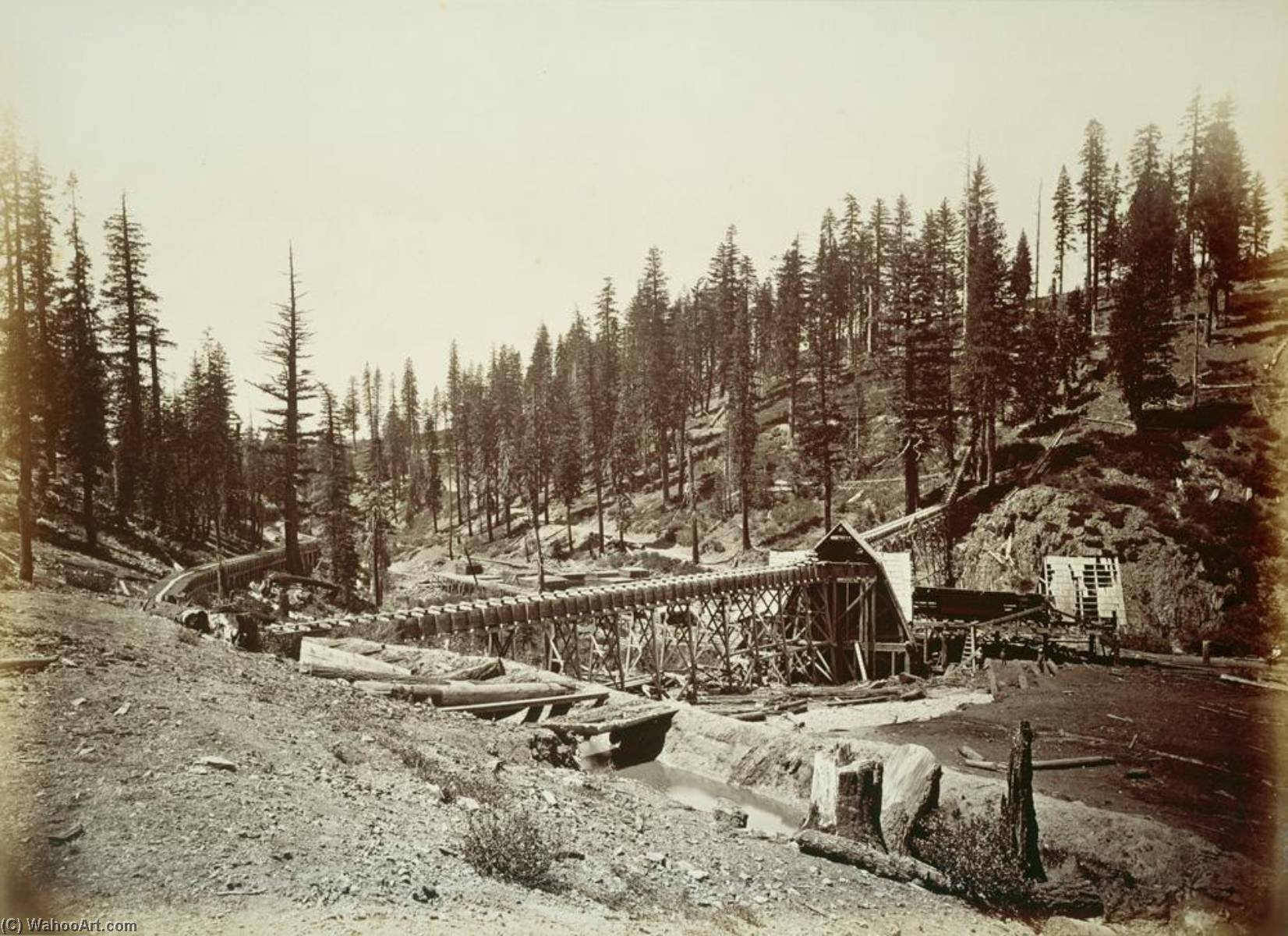 Art Reproductions , 1883 by Carleton Watkins (1829-1916) | ArtsDot.com