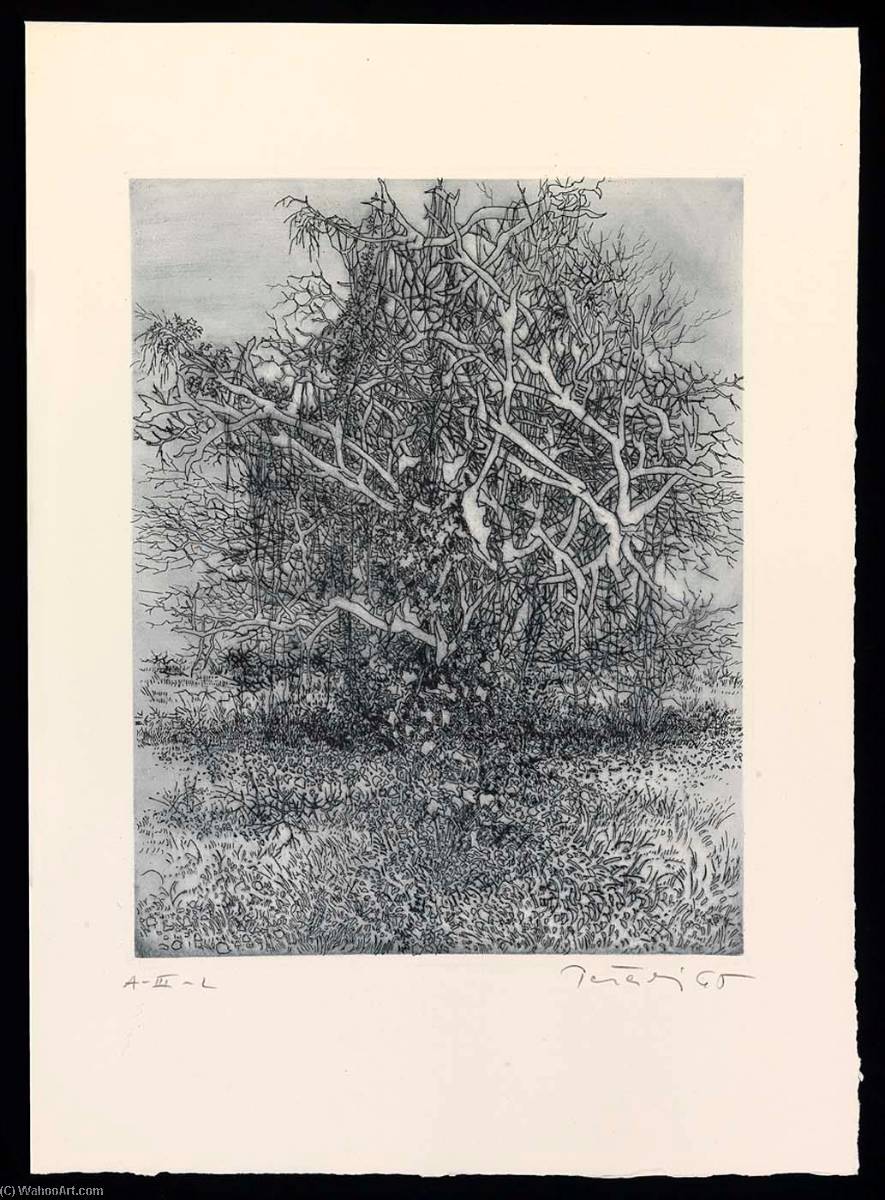 A Universe, from the portfolio A Genesis, 1967 by Gabor Peterdi (1915 ...