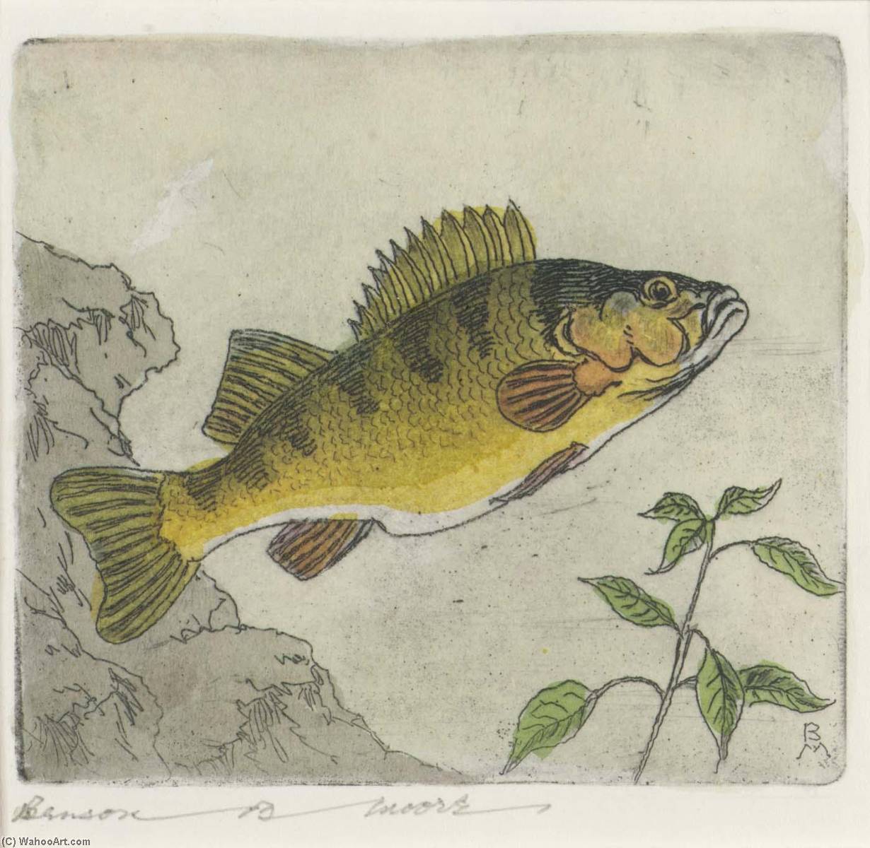 Buy Museum Art Reproductions Yellow Perch by Benson B Moore (Inspired ...