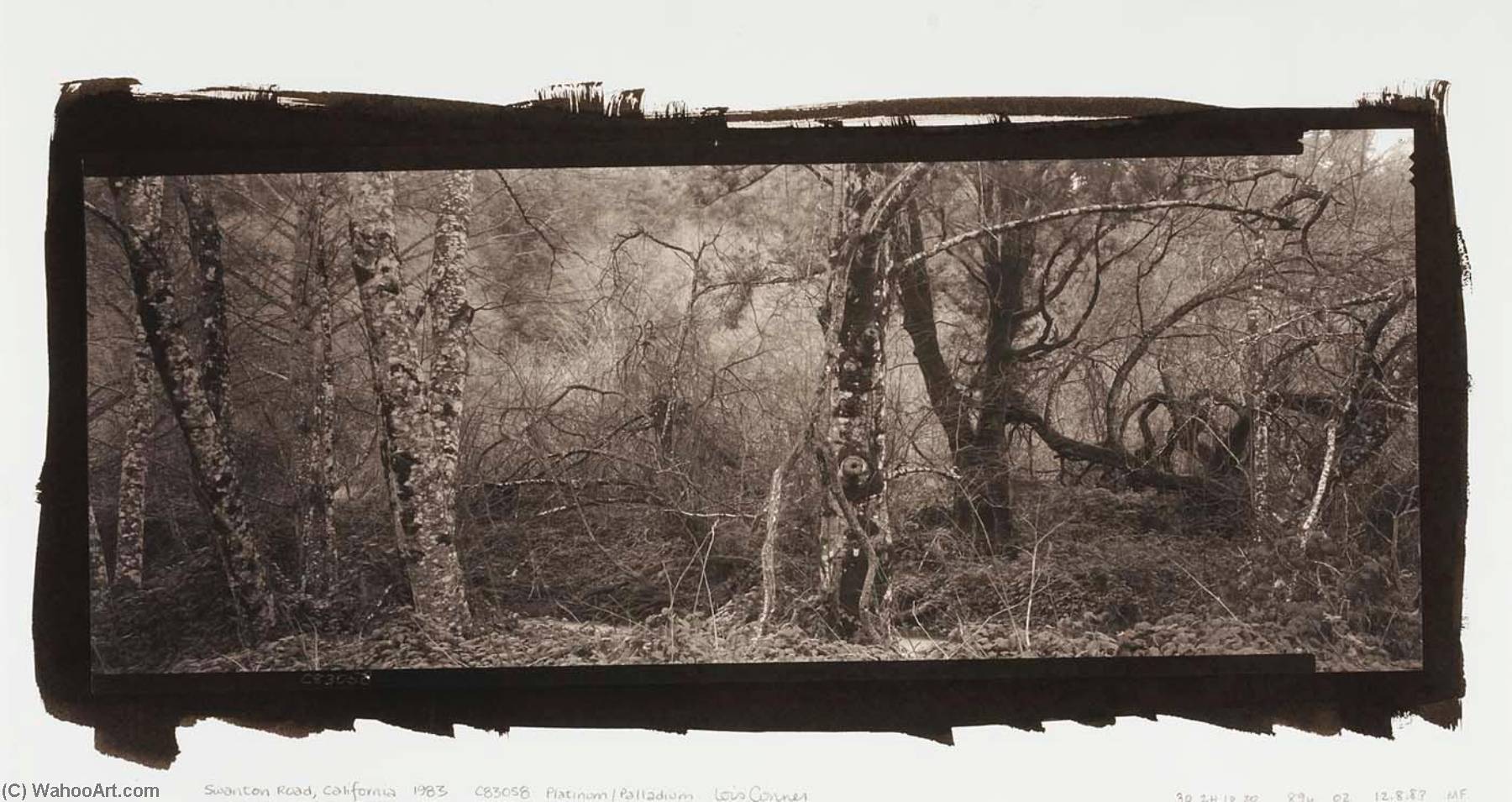 Swanton Road, California, 1983 by Lois Conner Lois Conner | ArtsDot.com