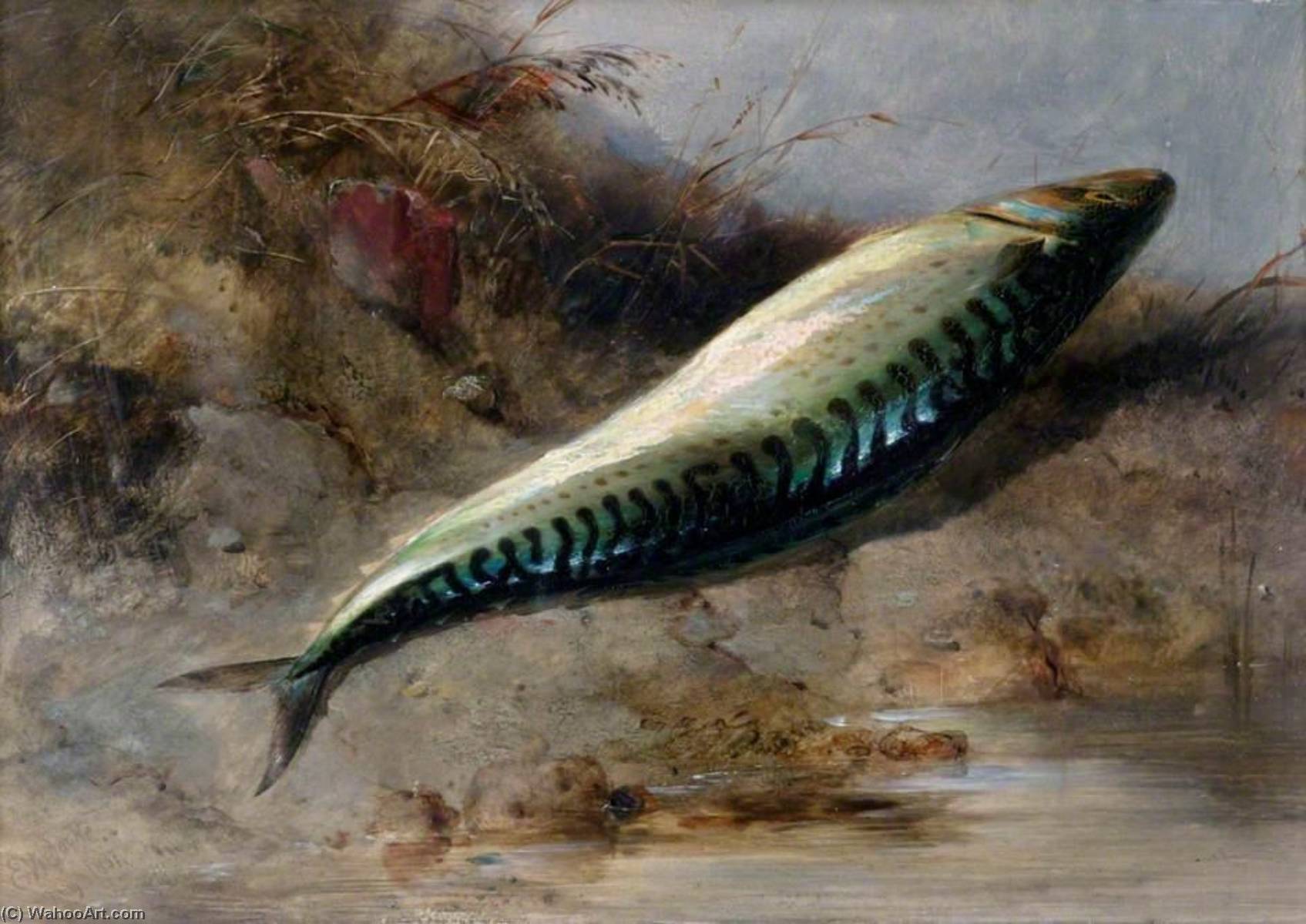 Get Art Reproductions A Mackerel on the Seashore, 1837 by Edward ...
