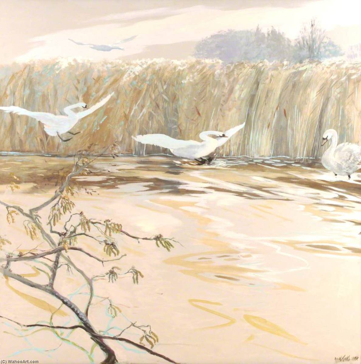 Swans Landing, 1994 by Anne Toms Anne Toms | ArtsDot.com