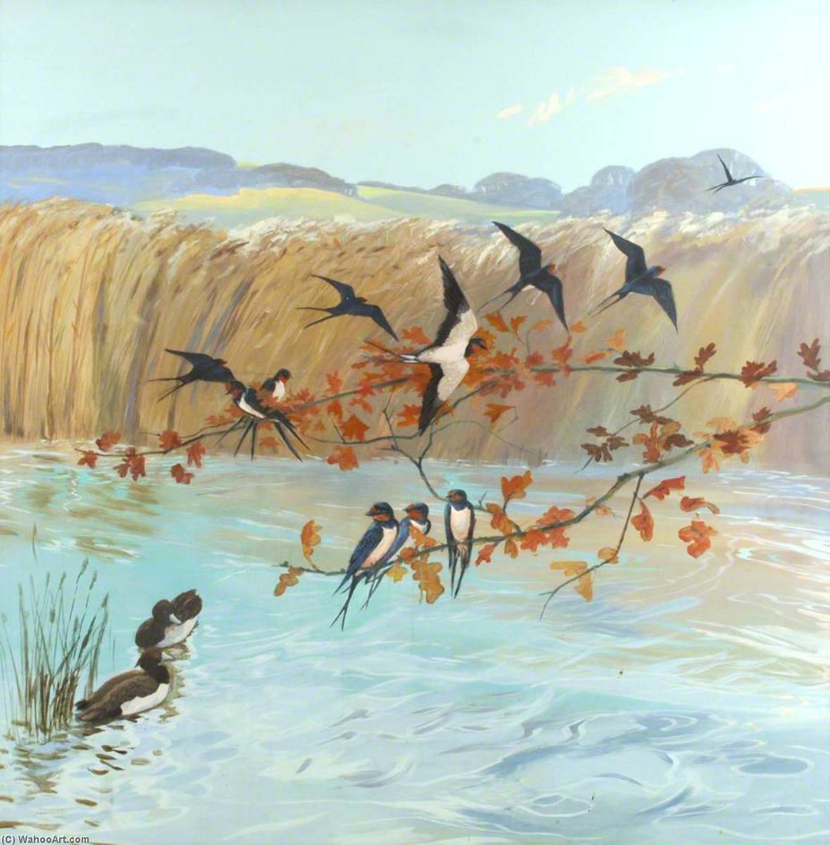 Swifts, 1994 by Anne Toms Anne Toms | ArtsDot.com