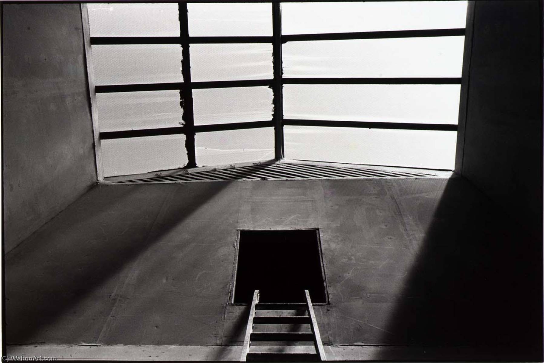 Untitled (Ladder Window) by Paul Hester Paul Hester | ArtsDot.com