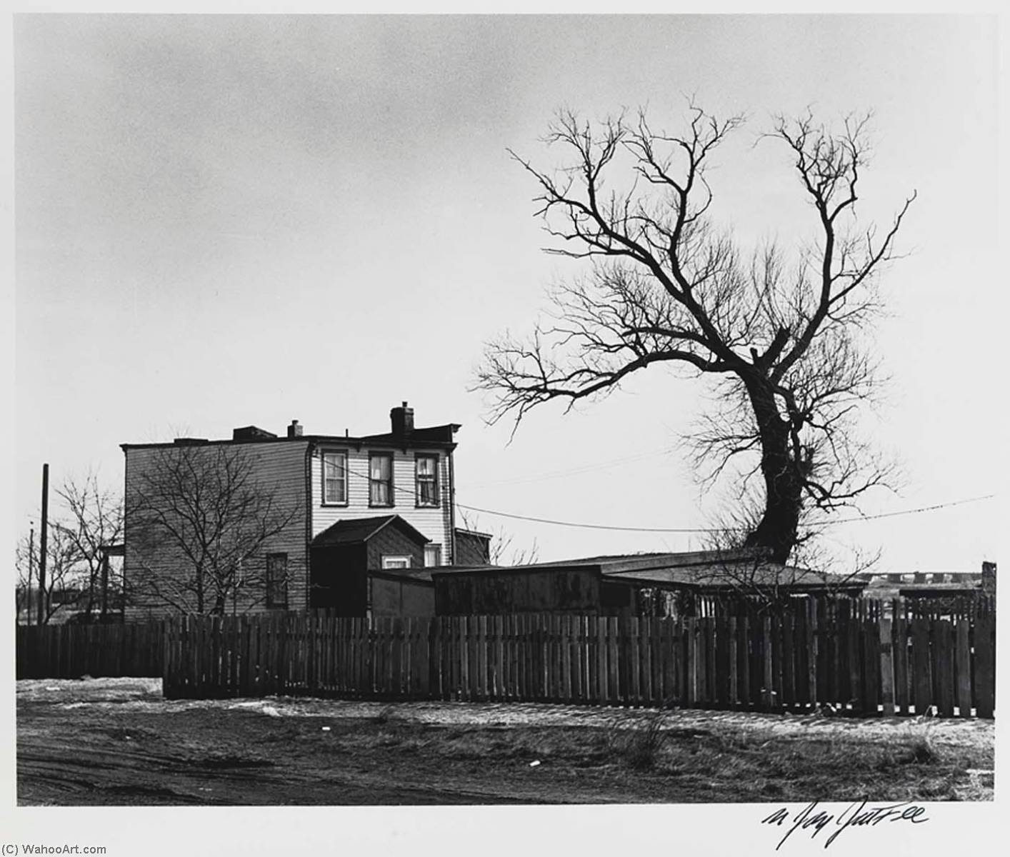 Obtenir Reproductions De Qualité Musée Maison et arbre, 1978 de Nathan ...