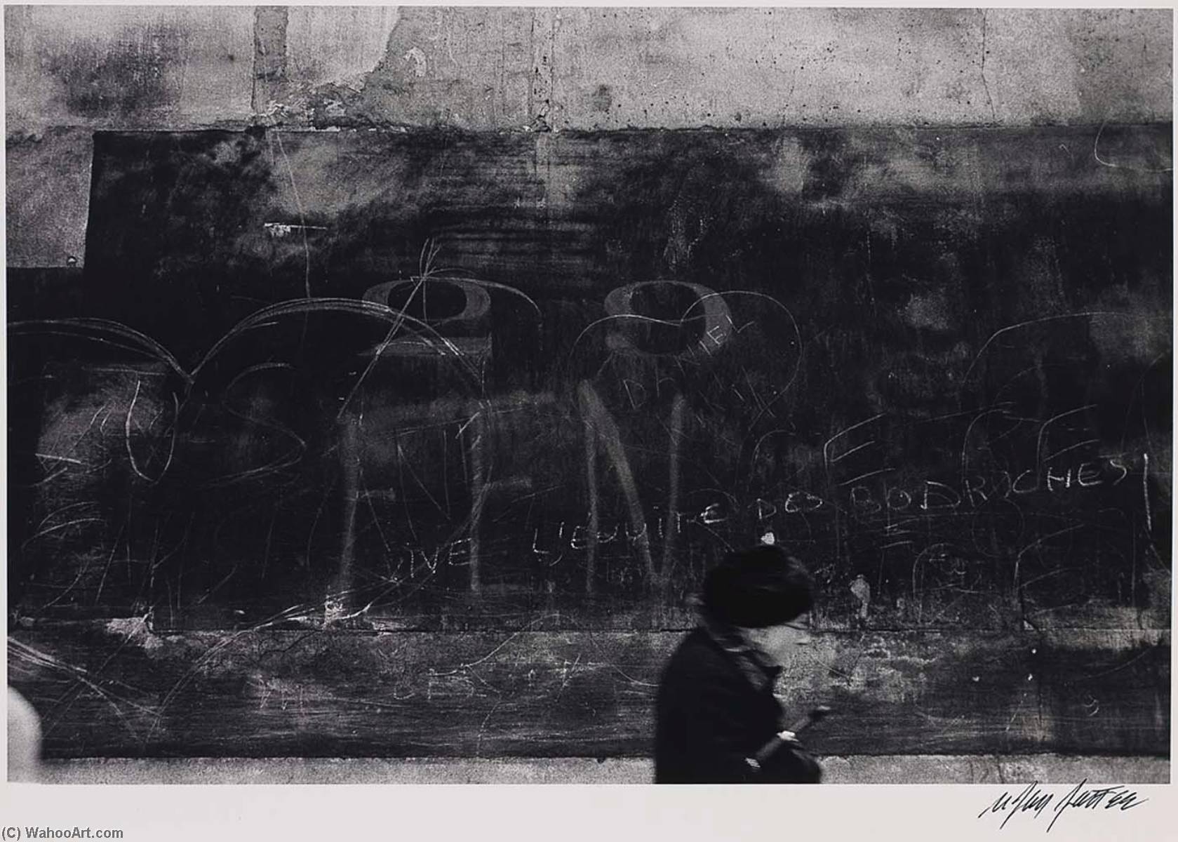 Reproducciones De Arte Del Museo Wall Graffiti, 1983 de Nathan Jay ...