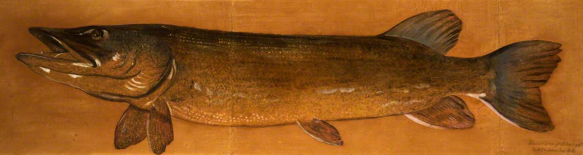 Buy Museum Art Reproductions Pike by Henry Thomson (1773-1843 ...