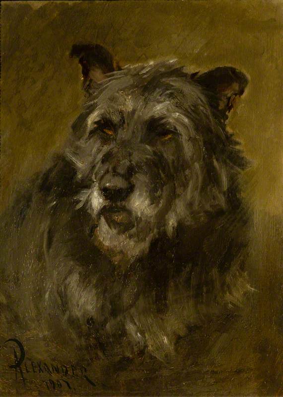 Commander Reproductions D'art Tête d`un Deerhound, 1907 de Robert L ...