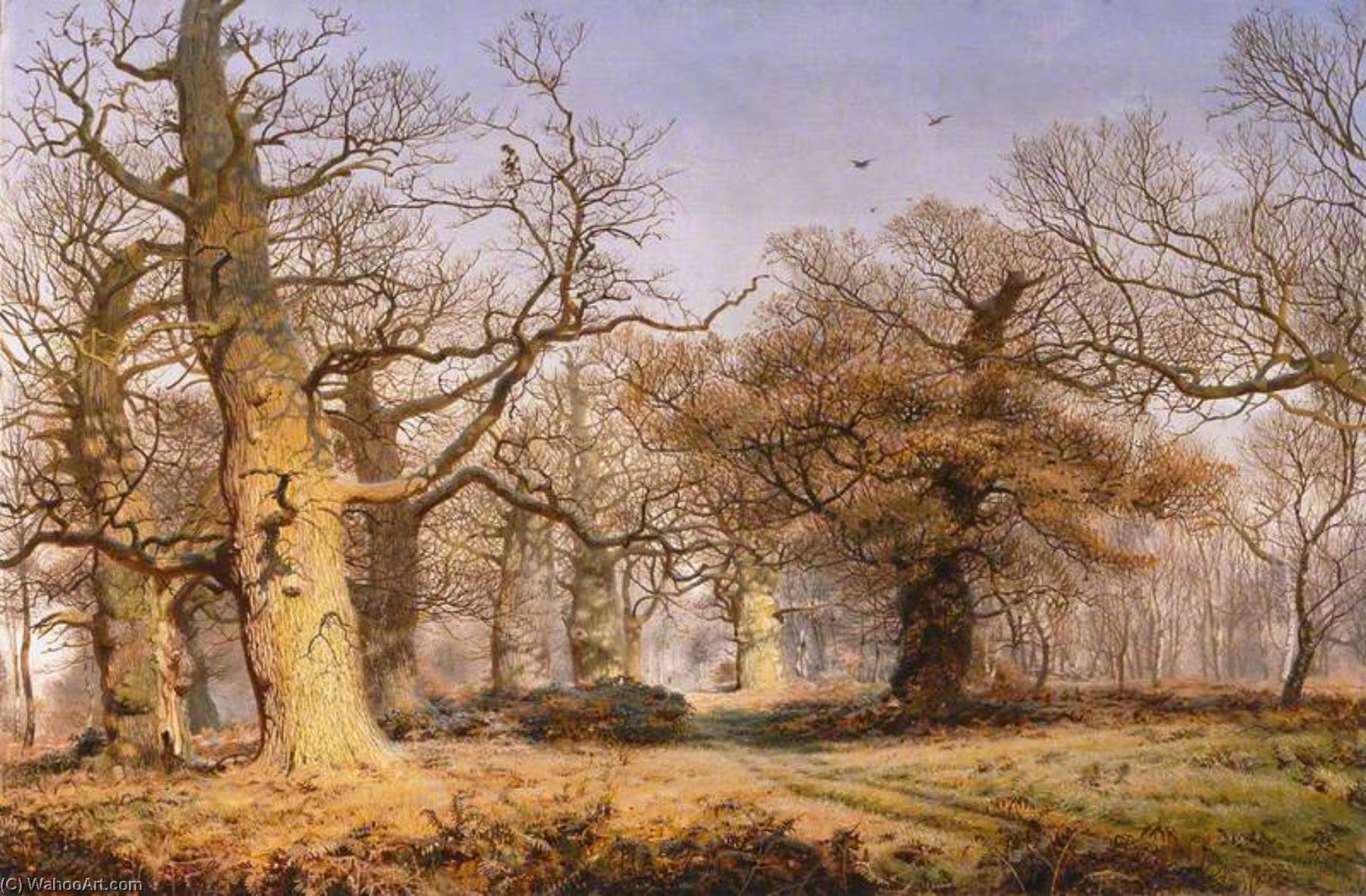 Museum Art Reproductions Oak Trees in Sherwood Forest, 1877 by Andrew ...