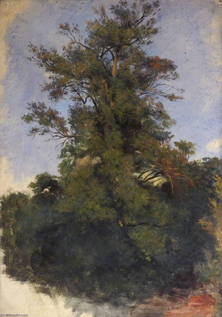 Paintings Reproductions Tree at the Water`s Edge by Thomas Stuart Smith ...