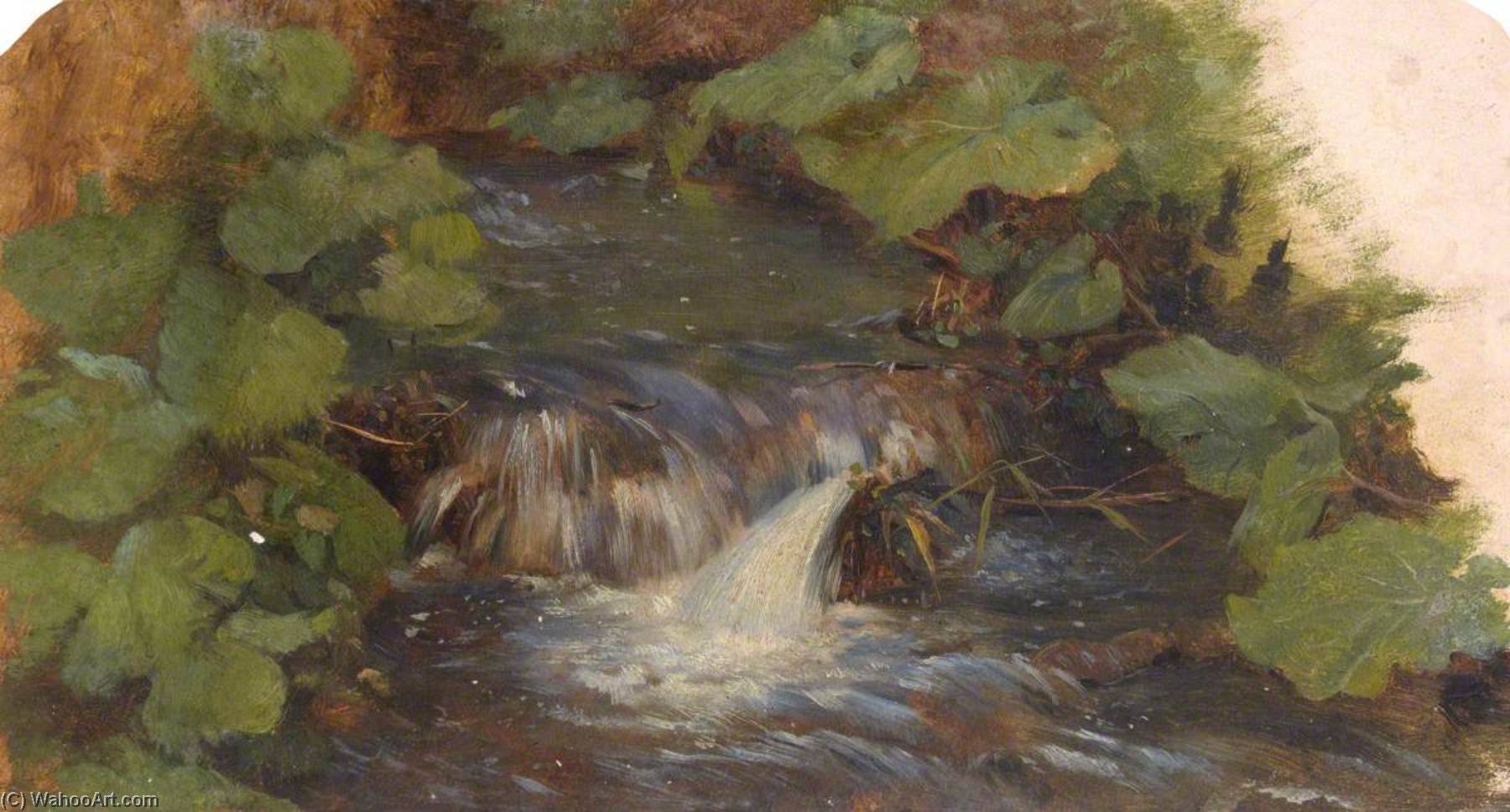 Gravura De Qualidade De Museu Folhas e uma Cachoeira por Thomas Stuart ...