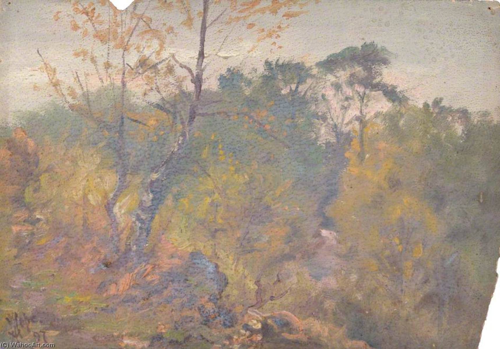 Get Art Reproductions Croham Hurst, Croydon, Surrey, November 1897 ...