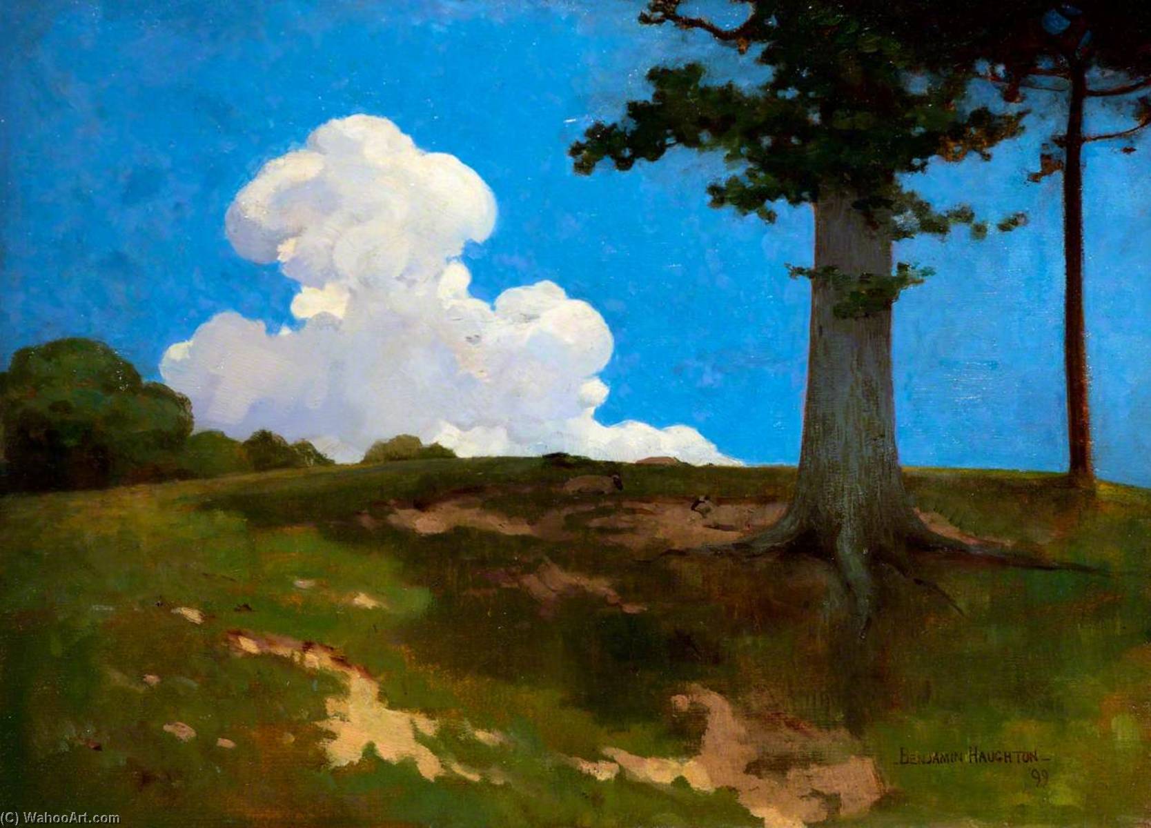 Reproductions D'art Un nuage, 1899 de Benjamin Haughton (1865-1924 ...