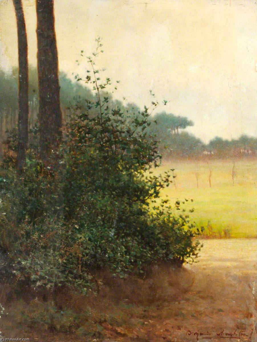 Get Art Reproductions Morning Shadows by Benjamin Haughton (1865-1924 ...