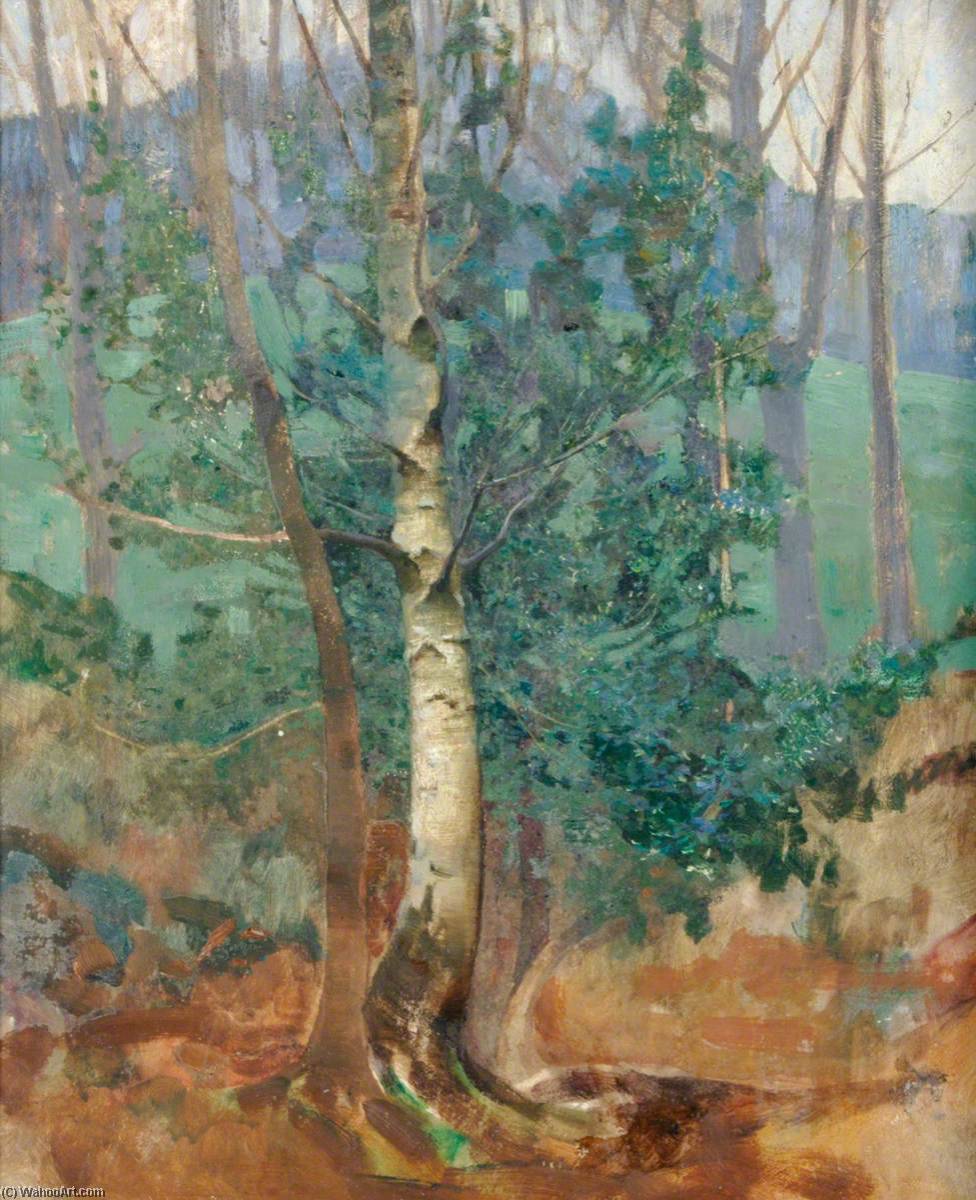Art Reproductions Birch Tree in a Field by Benjamin Haughton (1865-1924 ...