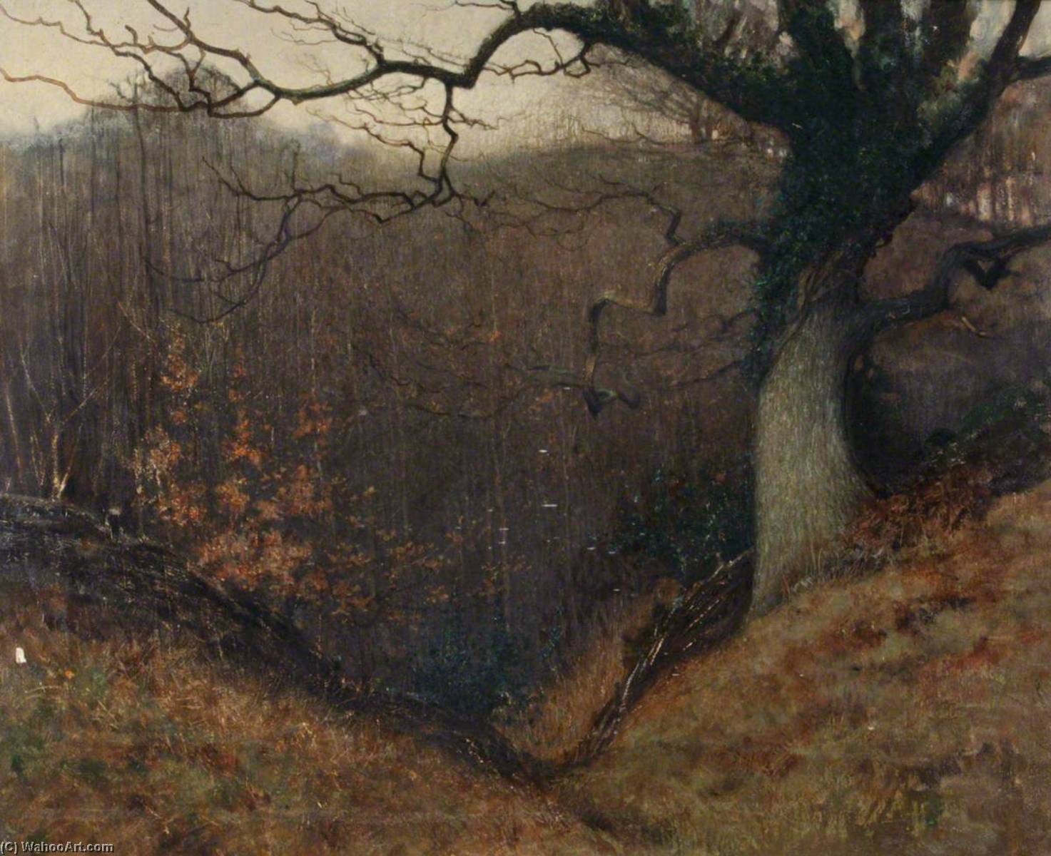 Order Artwork Replica Half Lit Woodland Scene by Benjamin Haughton ...