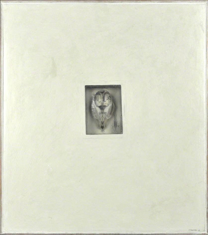 Museum of Zoology – Skull Notes, 2007 by Will Maclean Will Maclean ...