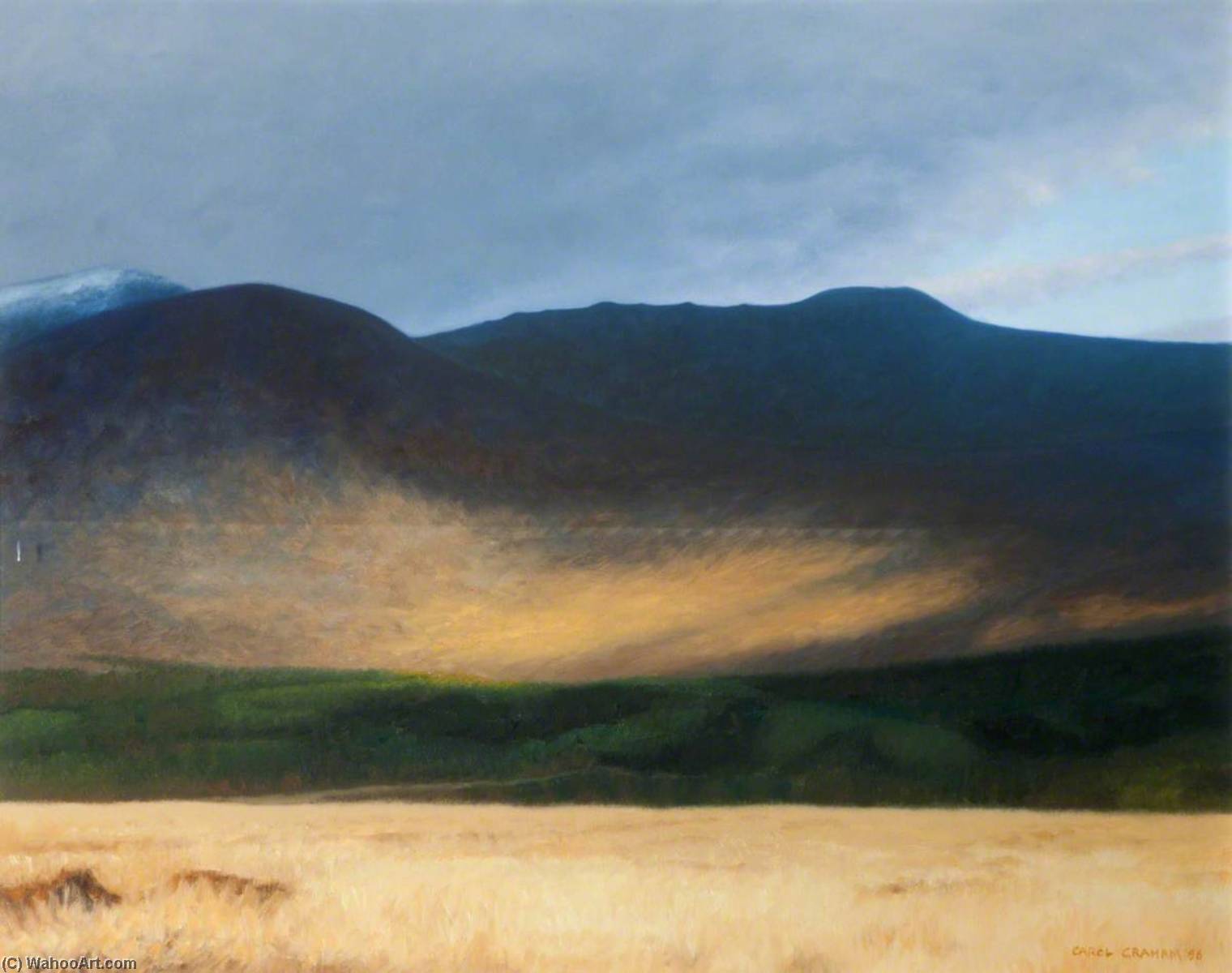 Paisagem, 1996 por Carol Graham Carol Graham | ArtsDot.com