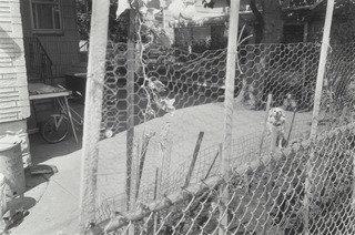 Belle, Gerrittsen Beach, Brooklyn, 1981 por Thomas Roma Thomas Roma ...