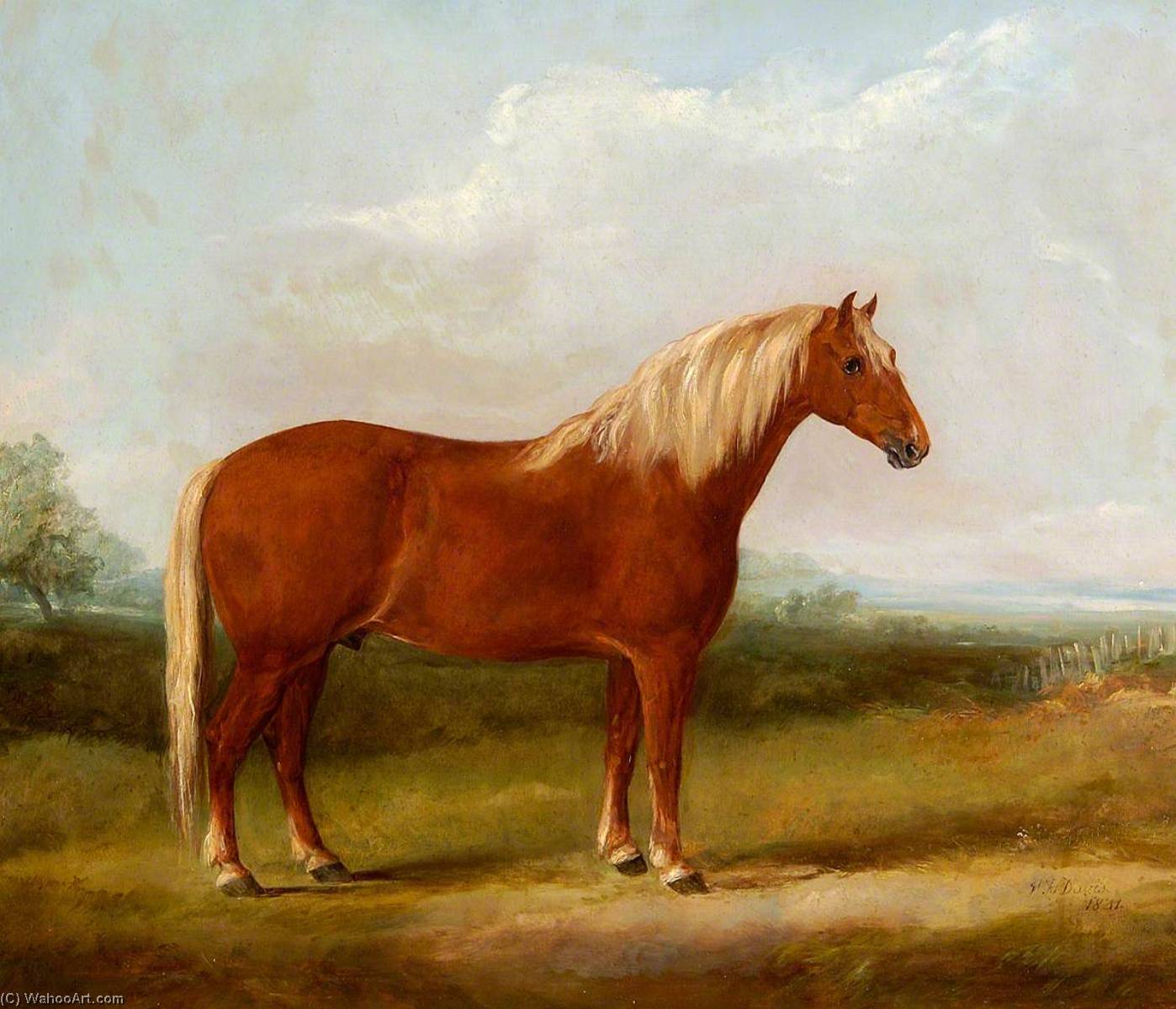 Buy Museum Art Reproductions Fairhead Boxer 405, 1851 by William Henry ...