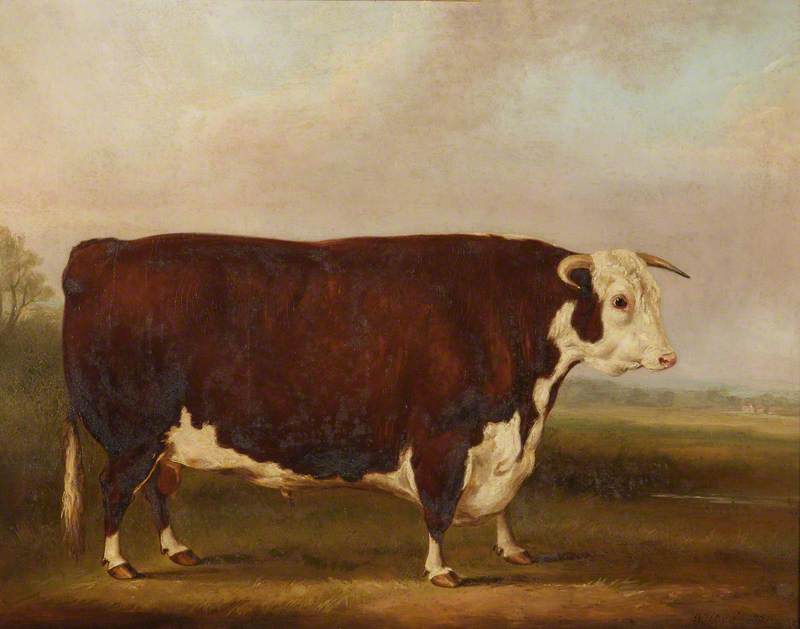 Order Artwork Replica Hereford Bull, 1856 by William Henry Davis (1833 ...