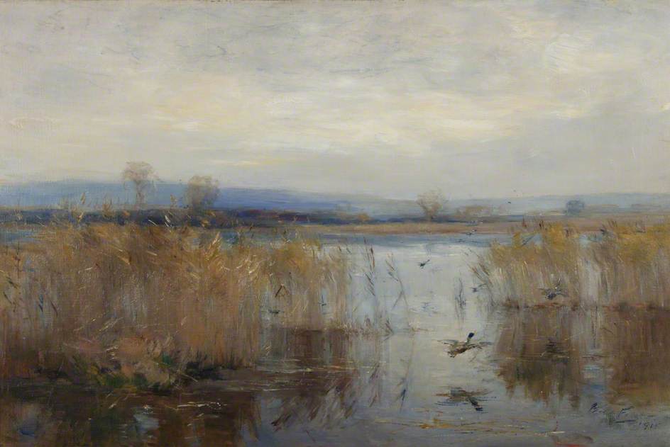 Museum Art Reproductions Reeds and Ducks, 1915 by William Miller Frazer ...