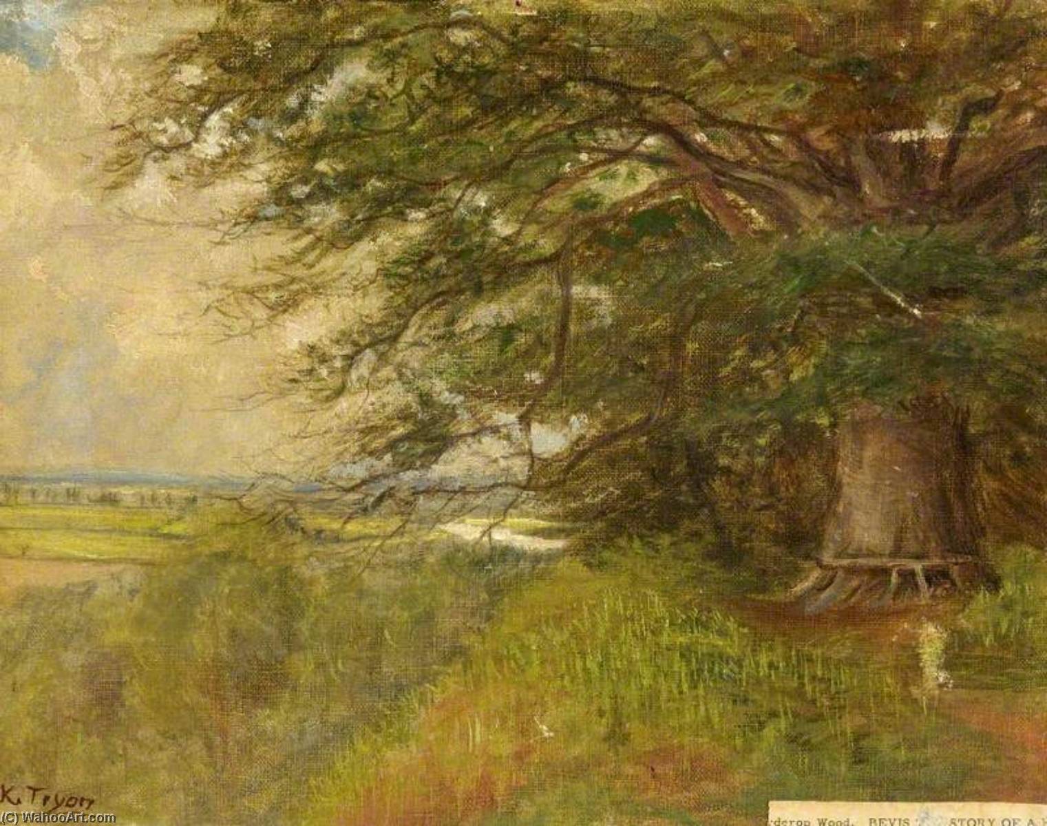 Pedir Reproducciones De Arte Burderop Wood, Wroughton, Wiltshire ...