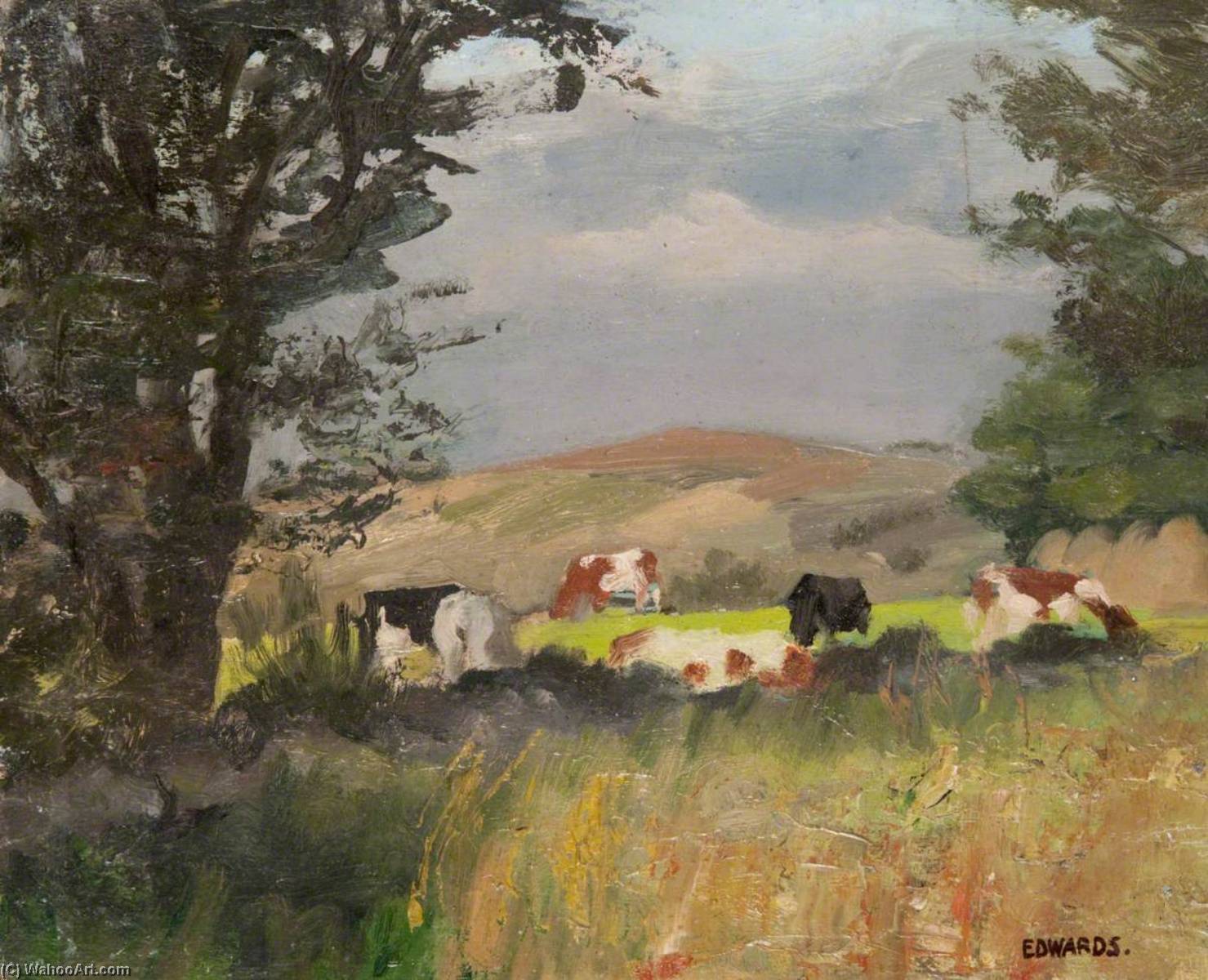 Cows Grazing (recto) by Joseph Byres Edwards (1933-2000) Joseph Byres ...
