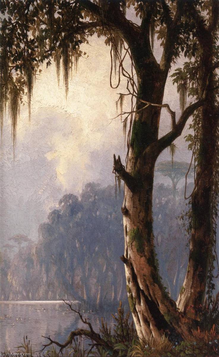 Reproductions D'art De Musée Paysage de la Louisiane, 1880 de Joseph ...