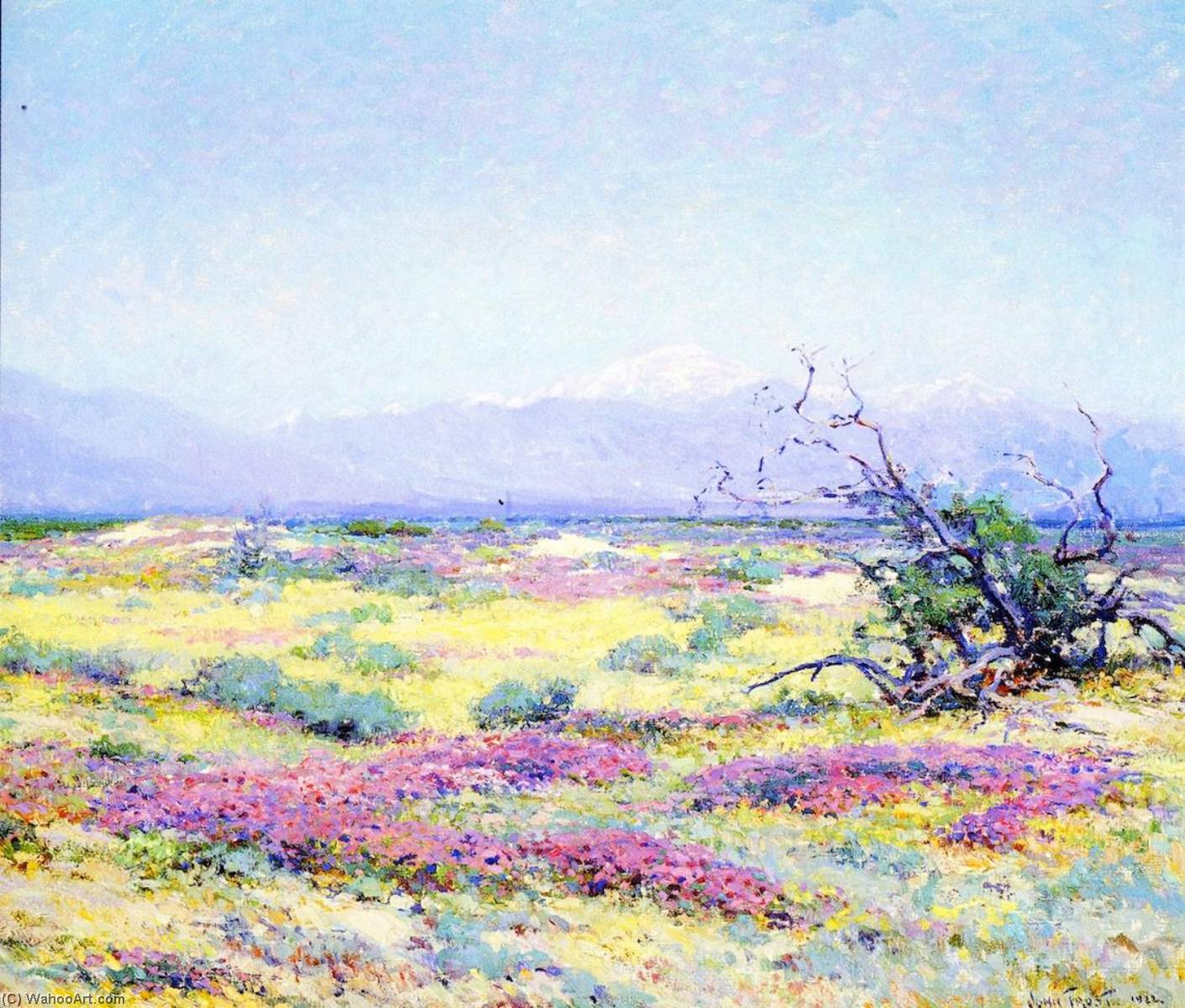 The Flowering Desert, 1922 by John Frost John Frost | ArtsDot.com