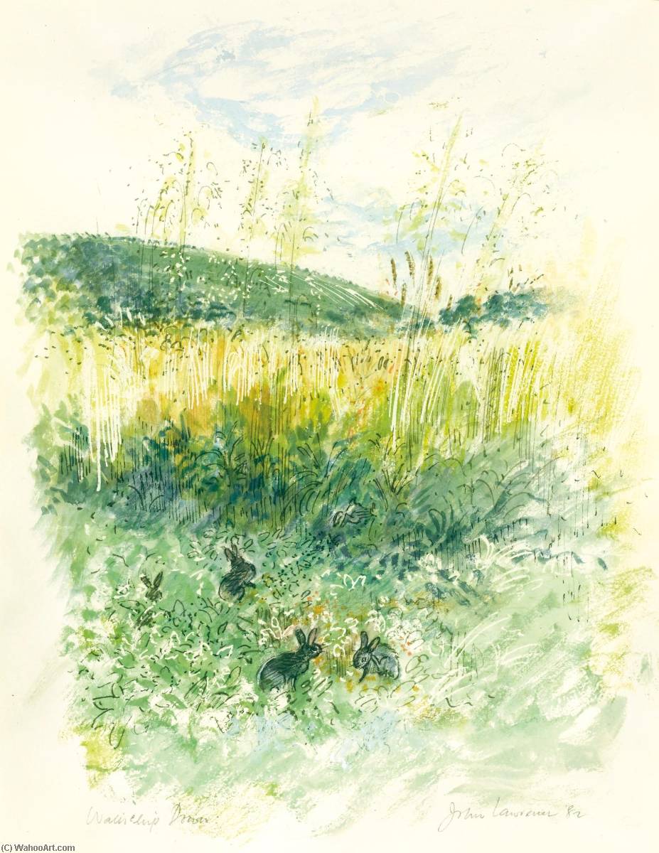 康菲尔德的兔子 通过 John Lawrence John Lawrence | ArtsDot.com