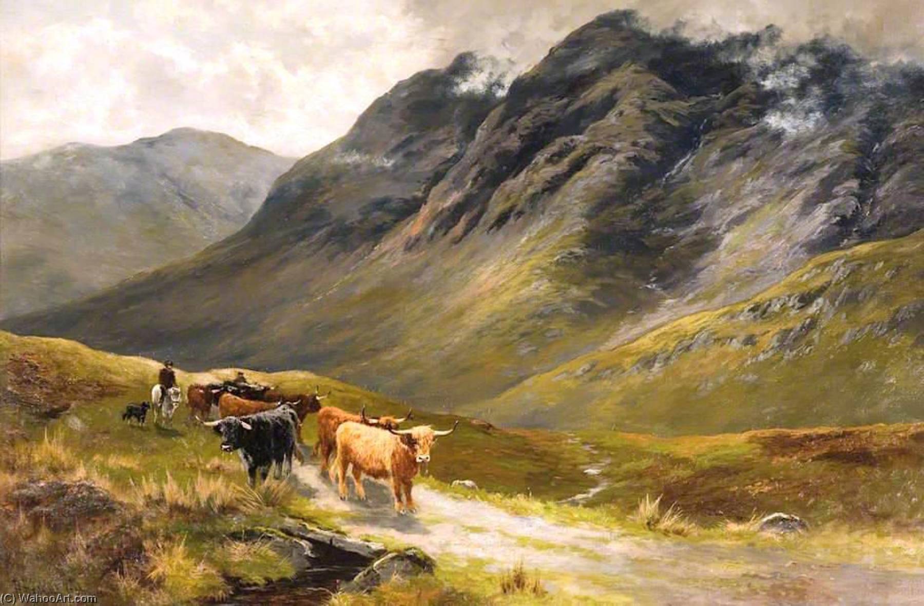Paintings Reproductions Highland Cattle by Hanry Hadfield Cubley (1858 ...