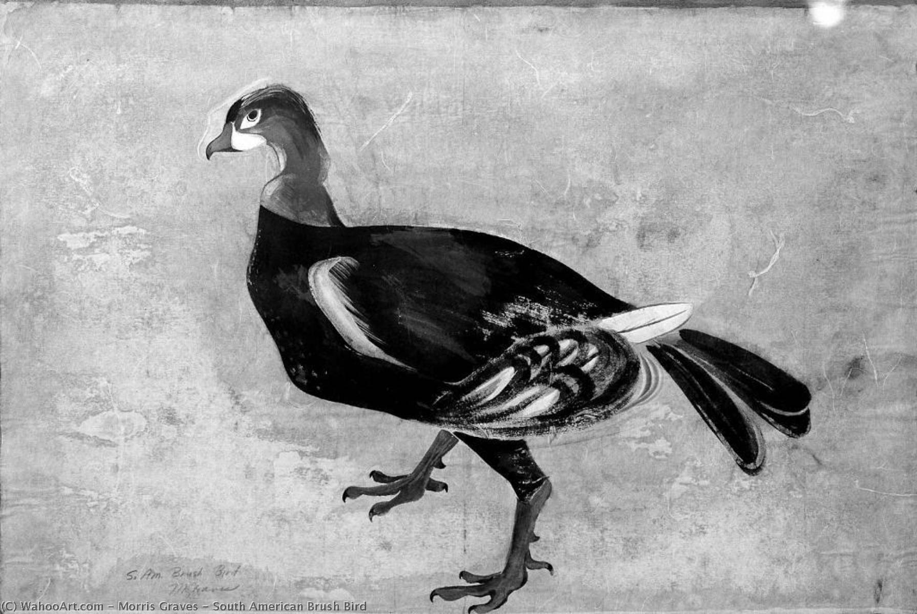 South American Brush Bird, 1944 by Morris Graves (1910-2001) Morris ...