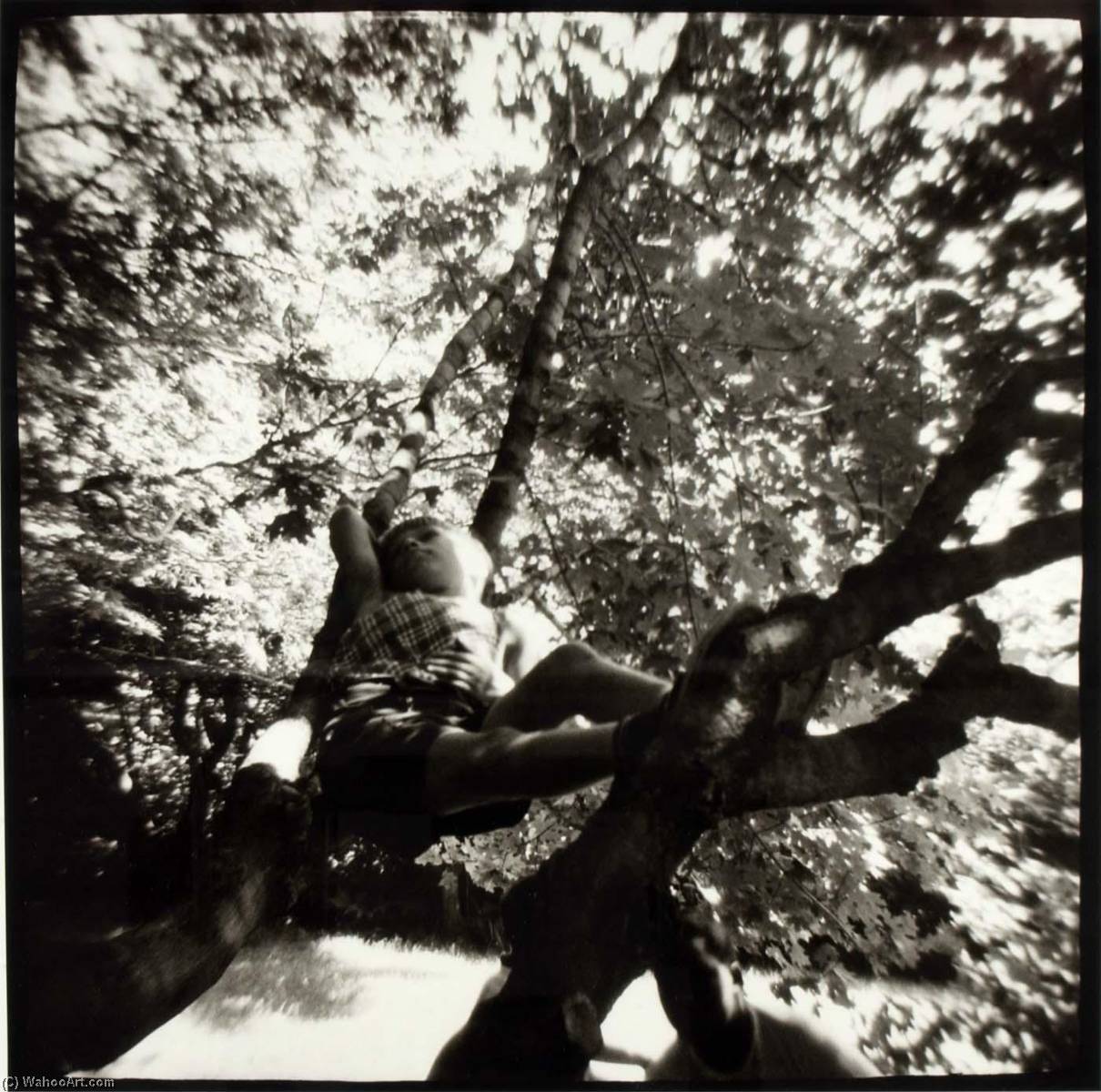 Sans titre (Enfant en arbre) de Bruce Horowitz Bruce Horowitz | ArtsDot.com