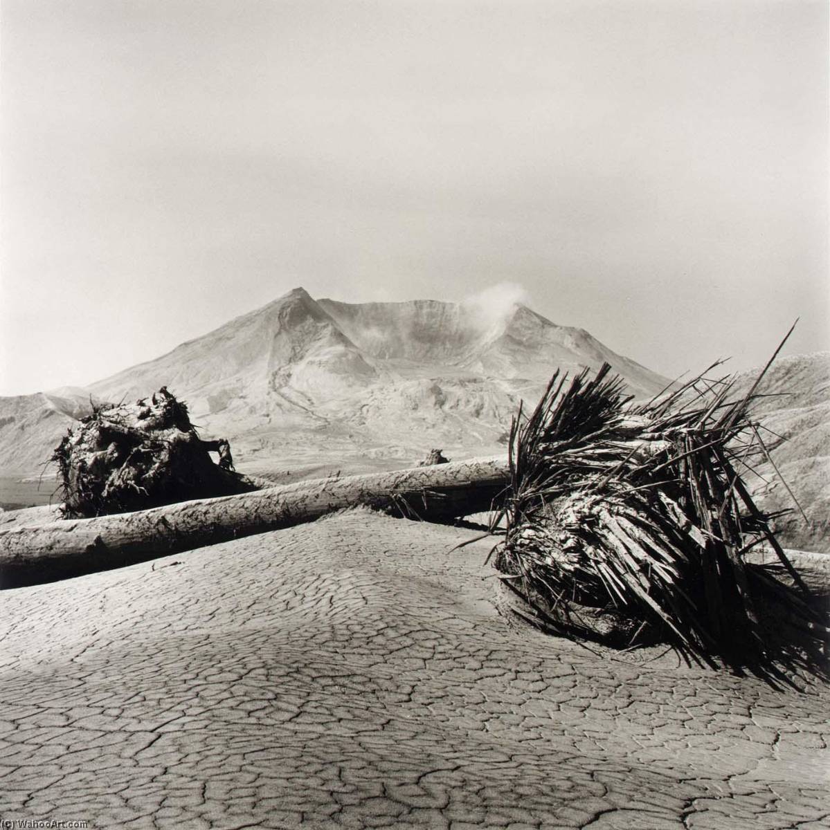 Mount St. Helens, Washington, 1980 by Emmet Gowin Emmet Gowin | ArtsDot.com