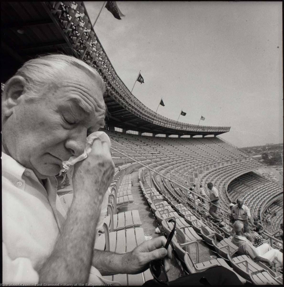 Harry en el Ballgame, NYC, 1976 de Paul Diamond (1942-2017) Paul ...